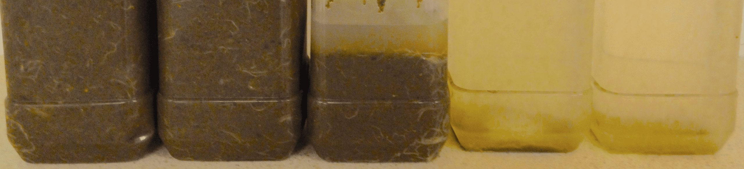 Slurry, Sludges and Semi-Solid Waste Fluids Rheology