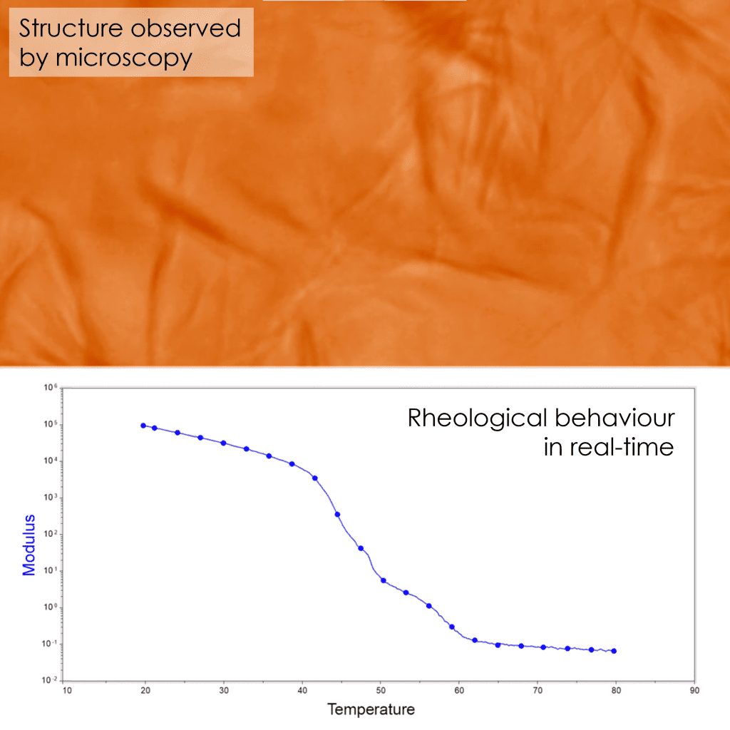 Rheo-Microscopy: Simultaneous Rheology and Imaging - Rheology Lab